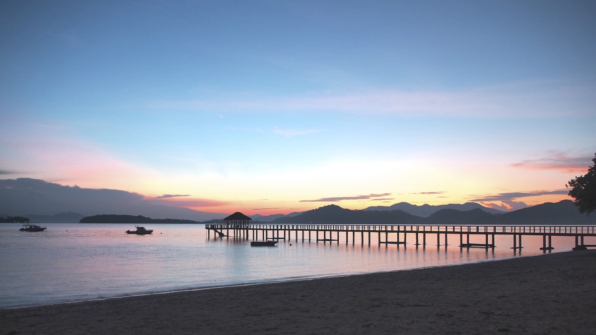 Home - Harufumi Nakazawa